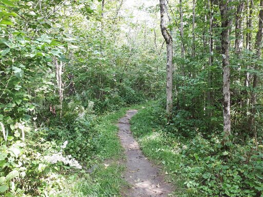 7 Things to do in Florenceville, NB • Wanderlust with Kids