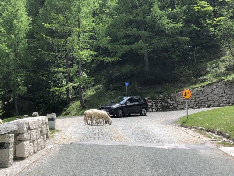 Driving in Slovenia: Everything You Need to Know for a Memorable Road ...