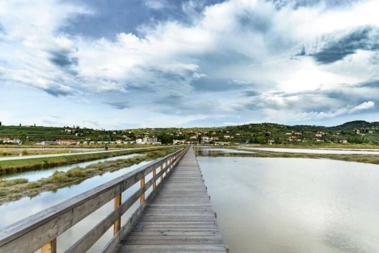 Best Things to Do in Piran • Wanderlust with Kids