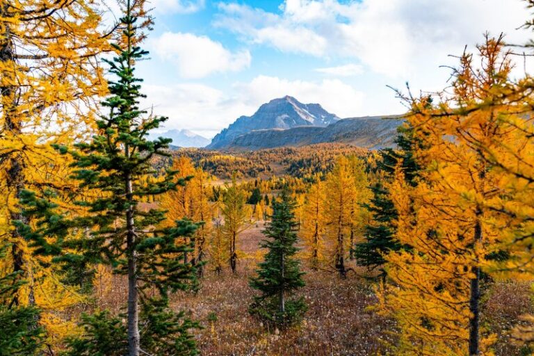 10 Must-See Places for Fall Colours in Canada • Wanderlust with Kids