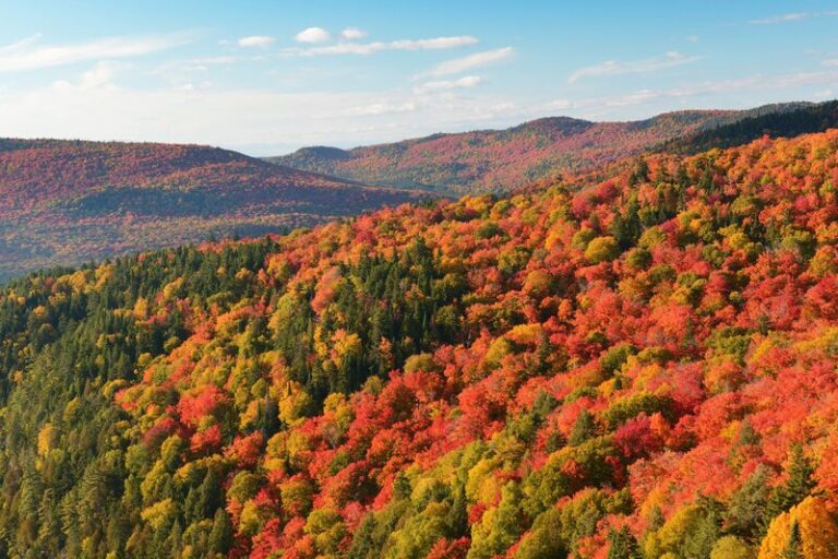 10 Must-See Places for Fall Colours in Canada • Wanderlust with Kids